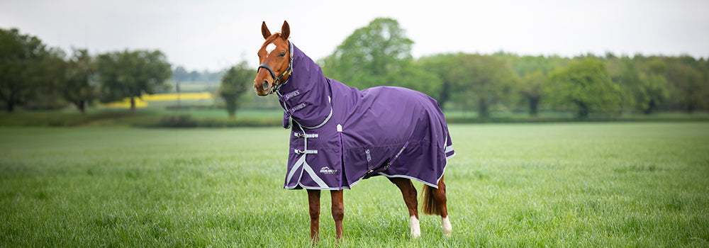 How to choose the best turnout rug | Rugging Guide
