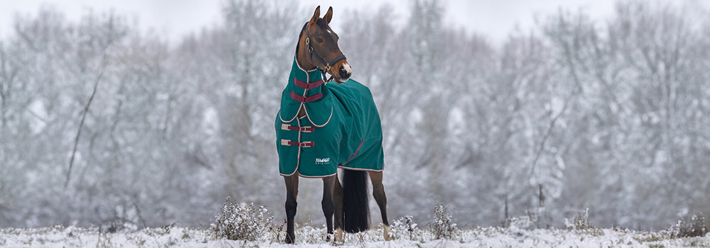 Rugging a Horse Temperature Guide