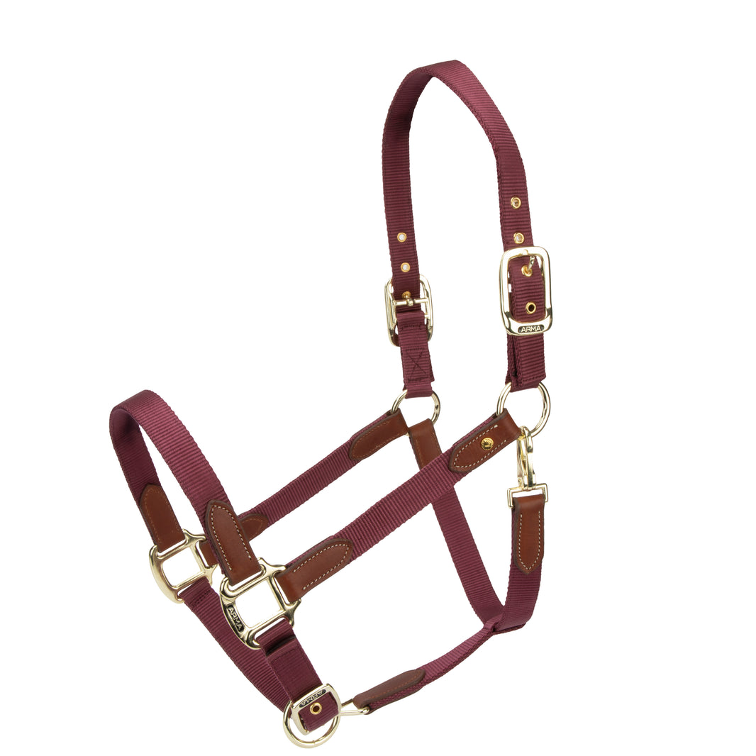 Comfort Headcollars
