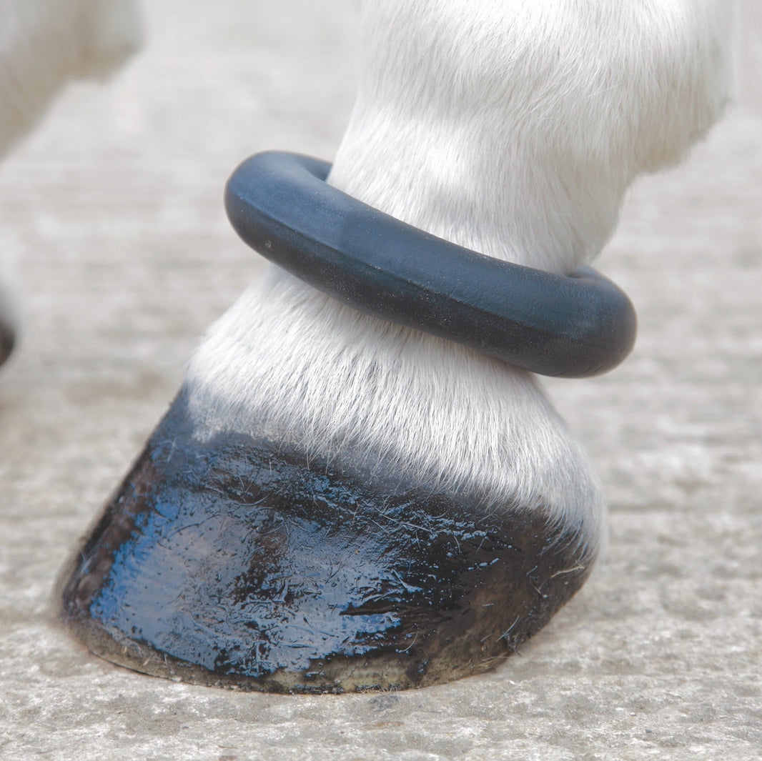Fetlock & Tendon Boots