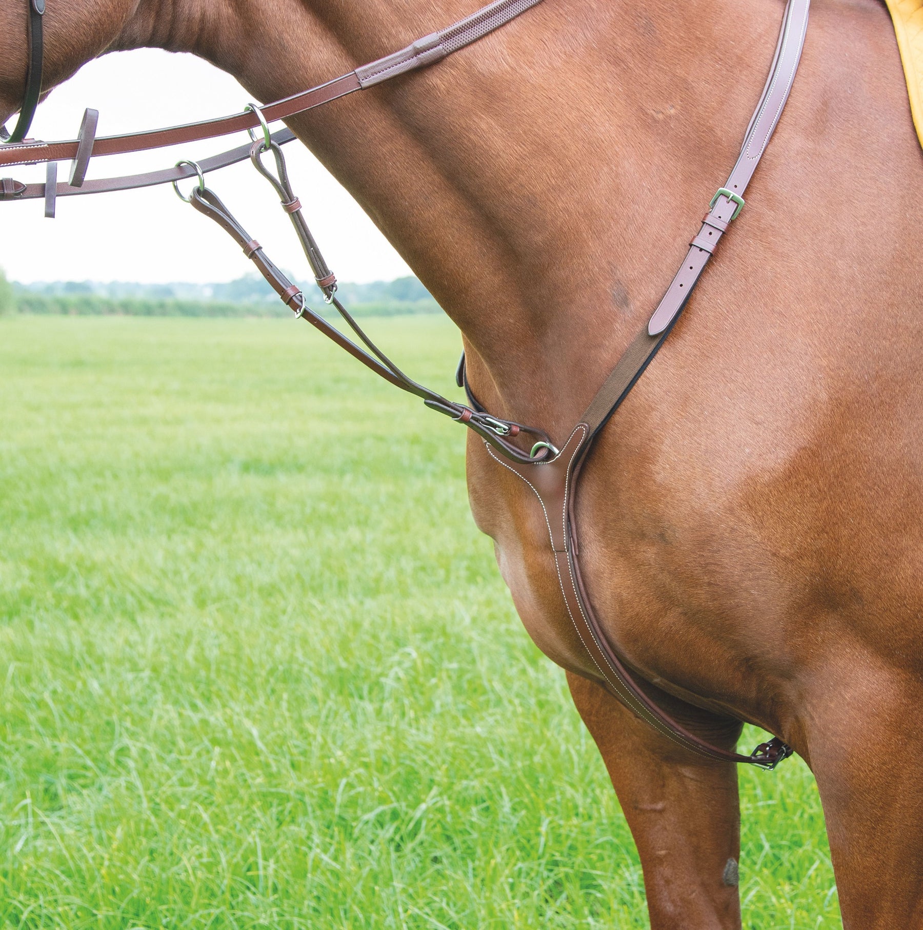 Martingales & Breastplates