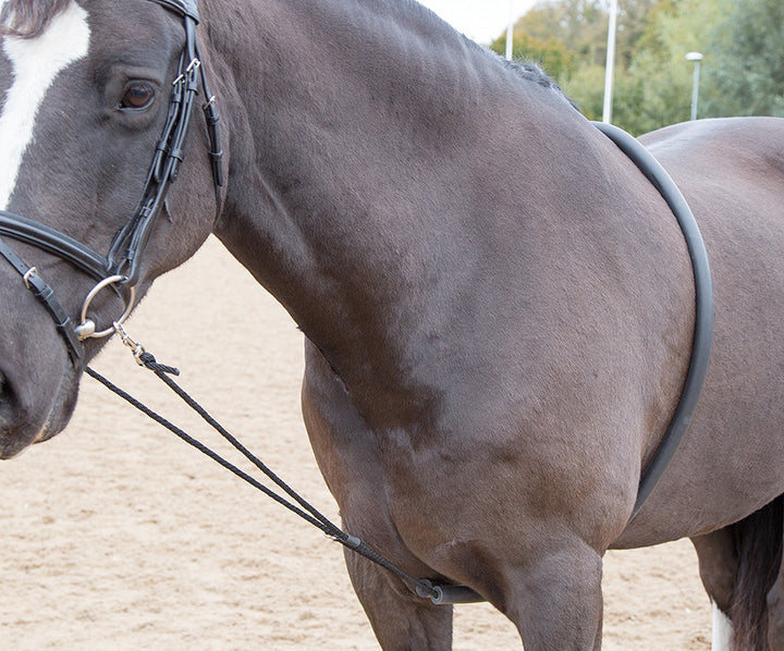 Training & Lunging Aids