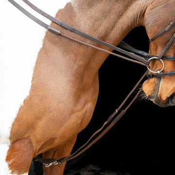Training & Lunging Aids