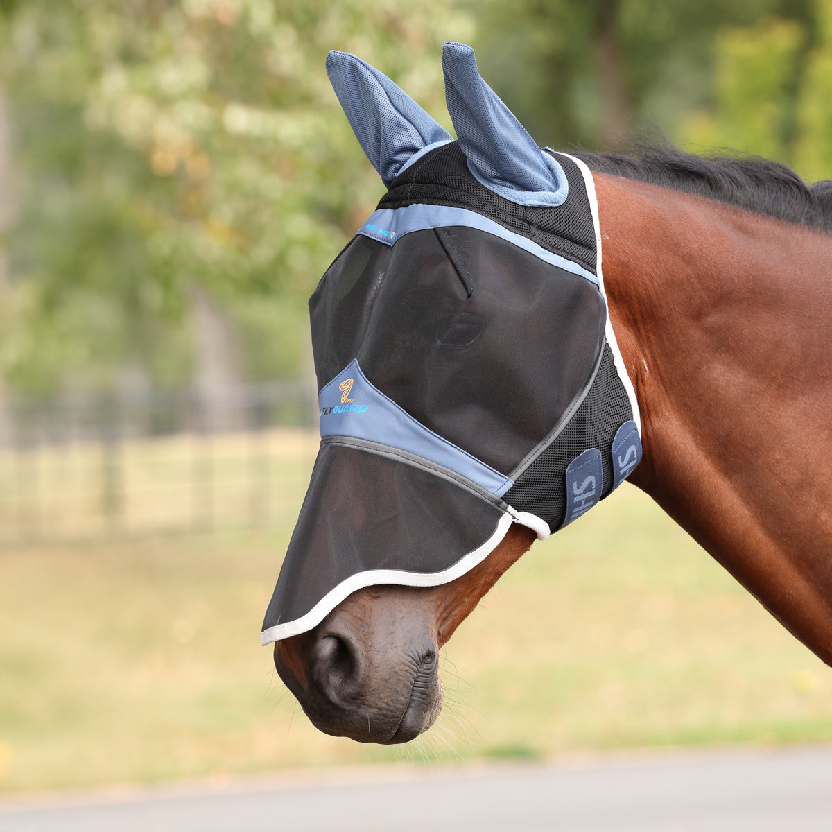 Fly Masks