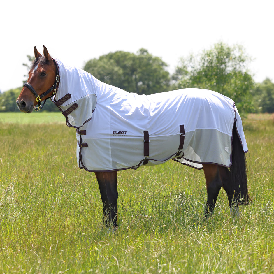 Fly Rugs