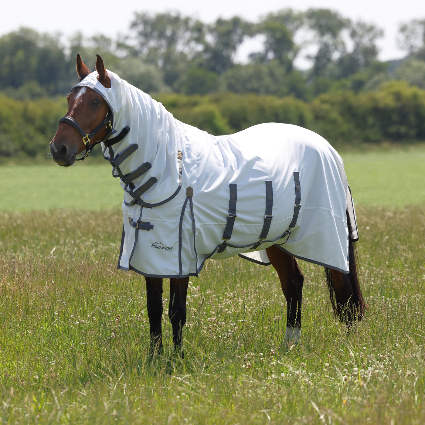 Fly Rugs