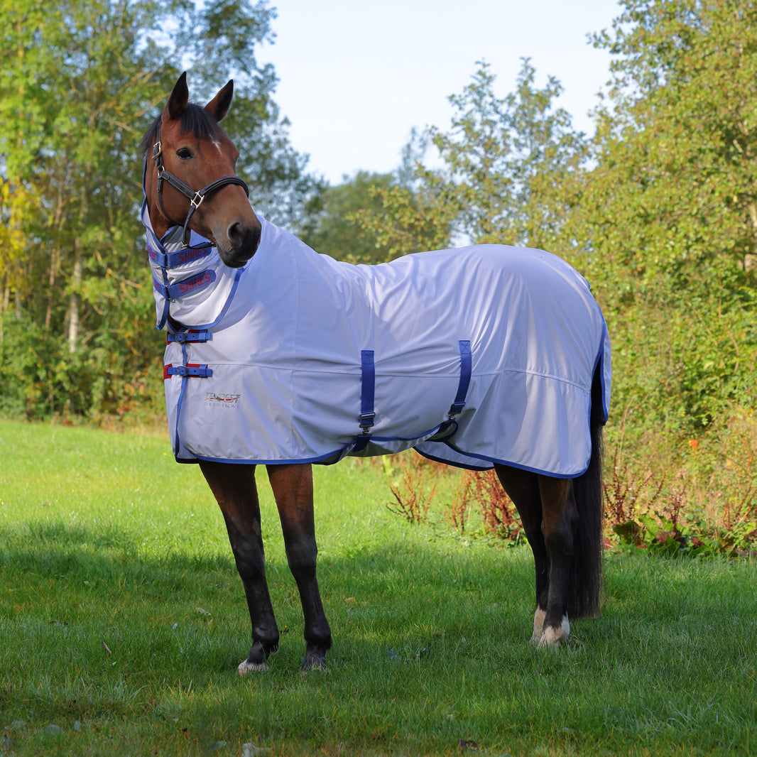Fly Protection