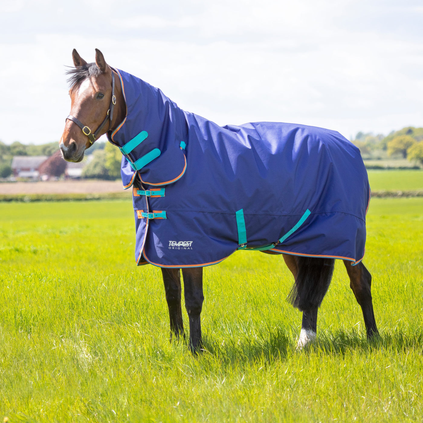 100g Turnout Rugs