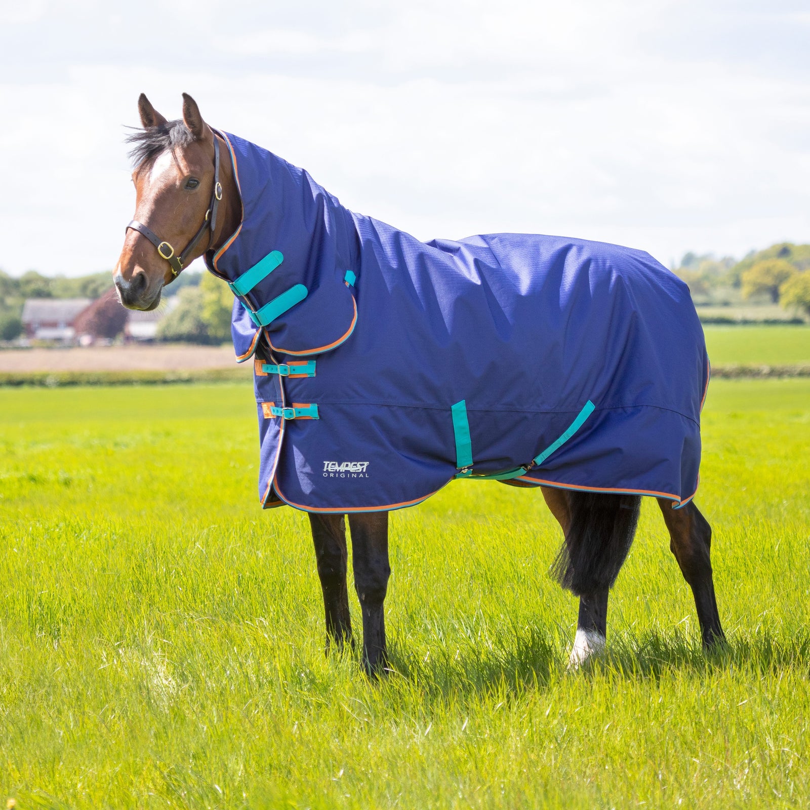 100g Turnout Rugs