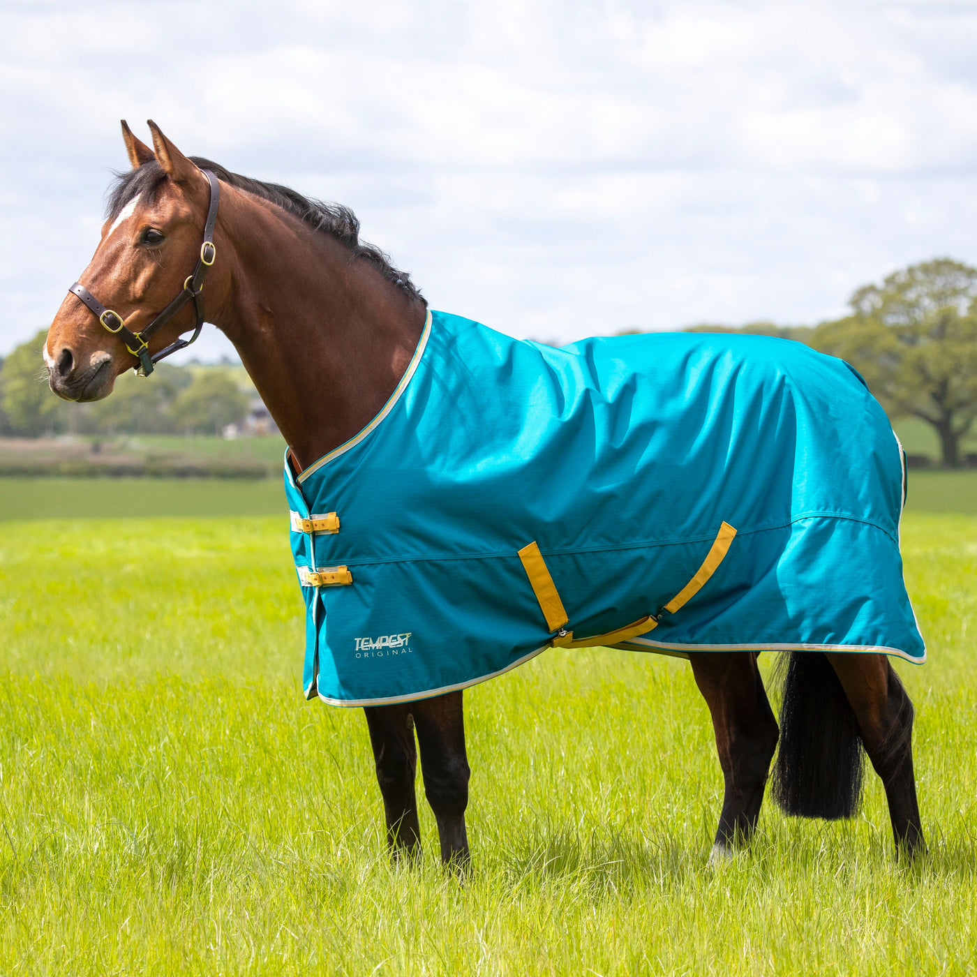 50g Turnout Rugs