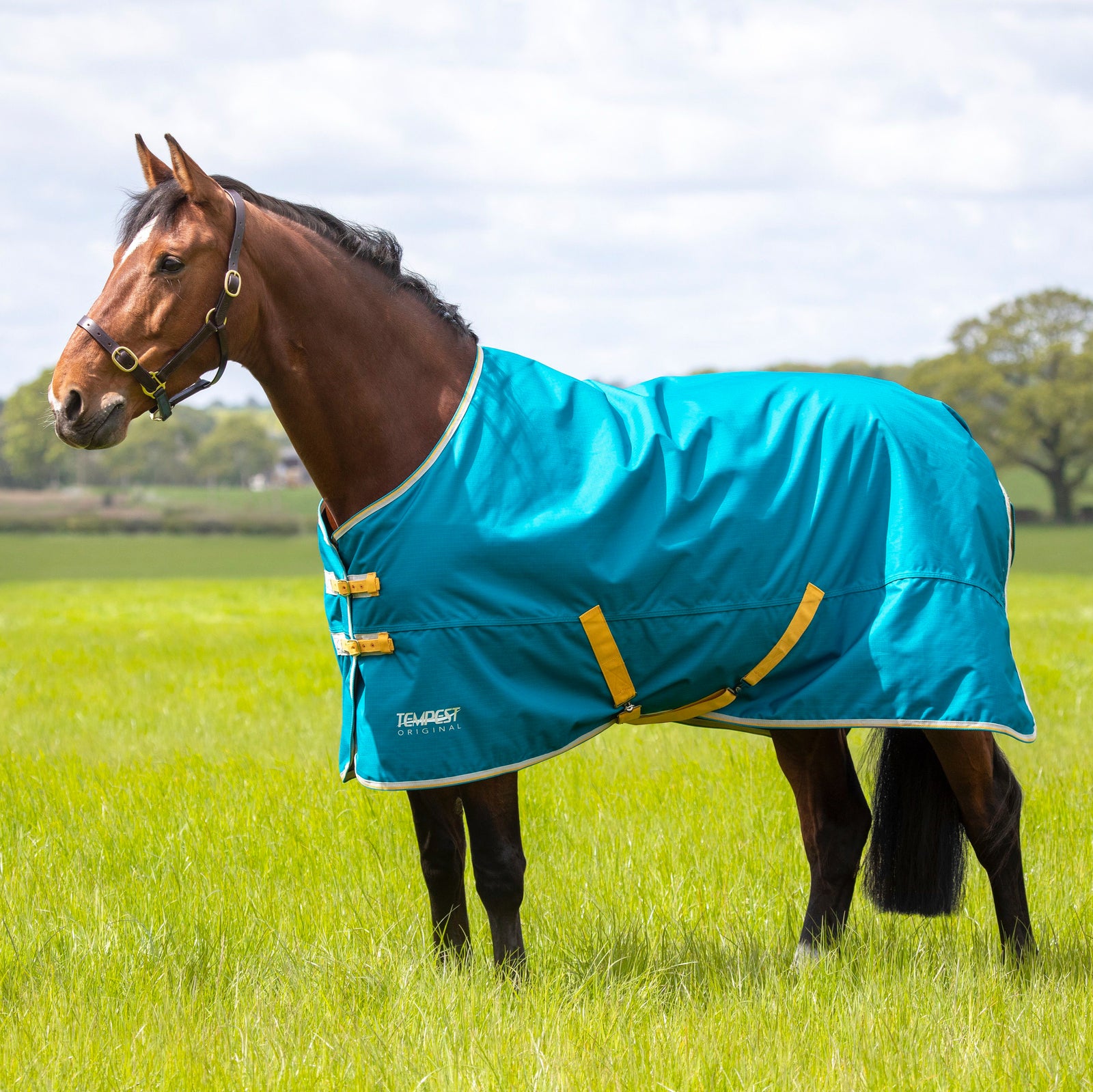 50g Turnout Rugs