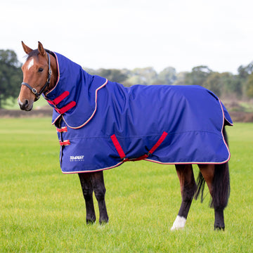 100g Turnout Rugs
