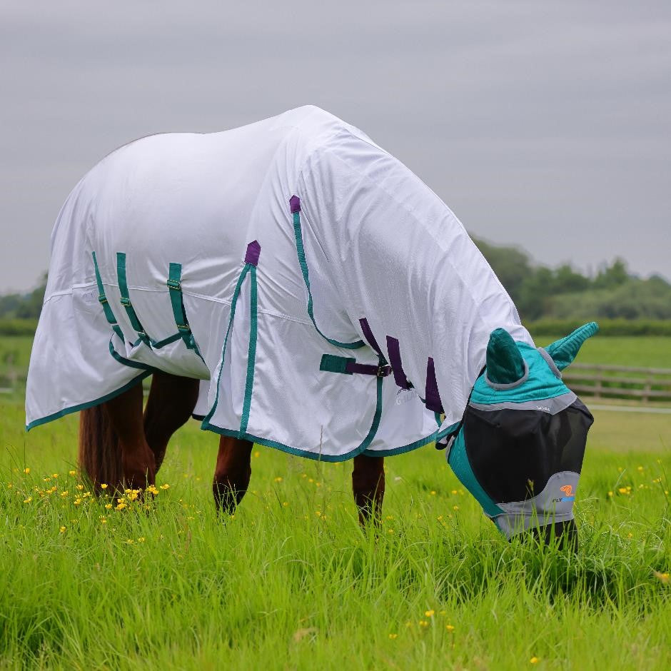 Highlander Plus Fly Sheet Combo Rug