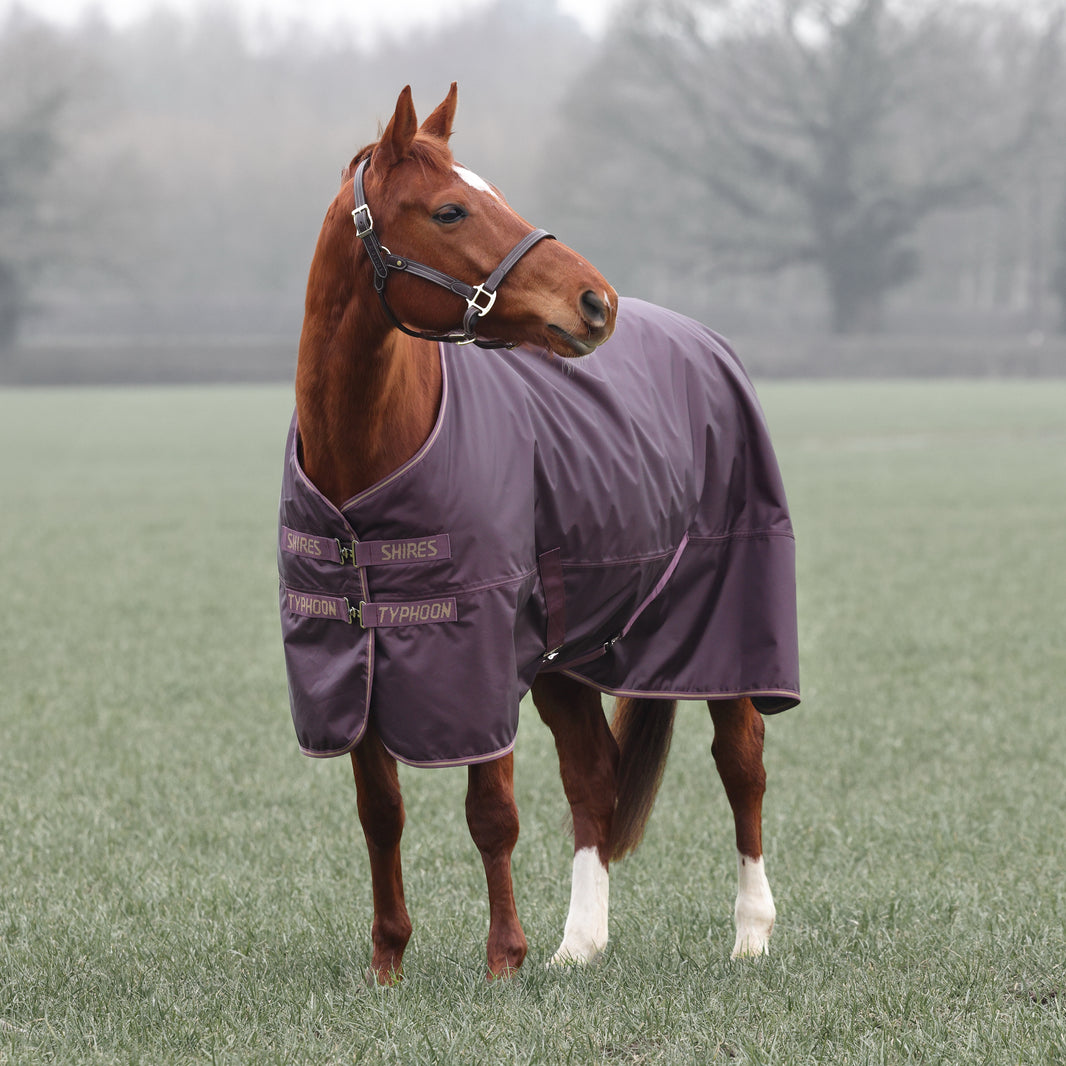 100g Turnout Rugs