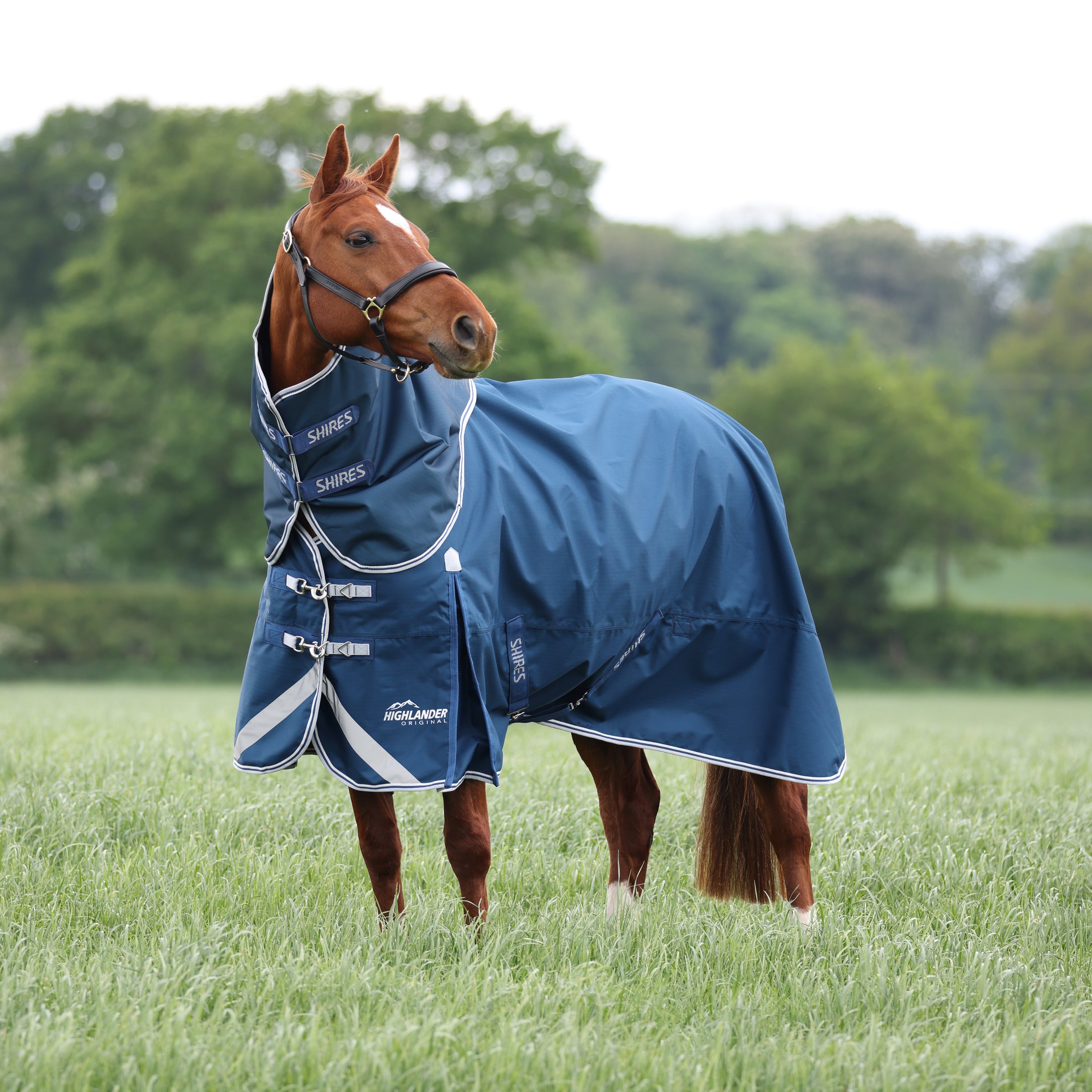 Shires Equestrian - Horse Riding Clothing & Equestrian Supplies