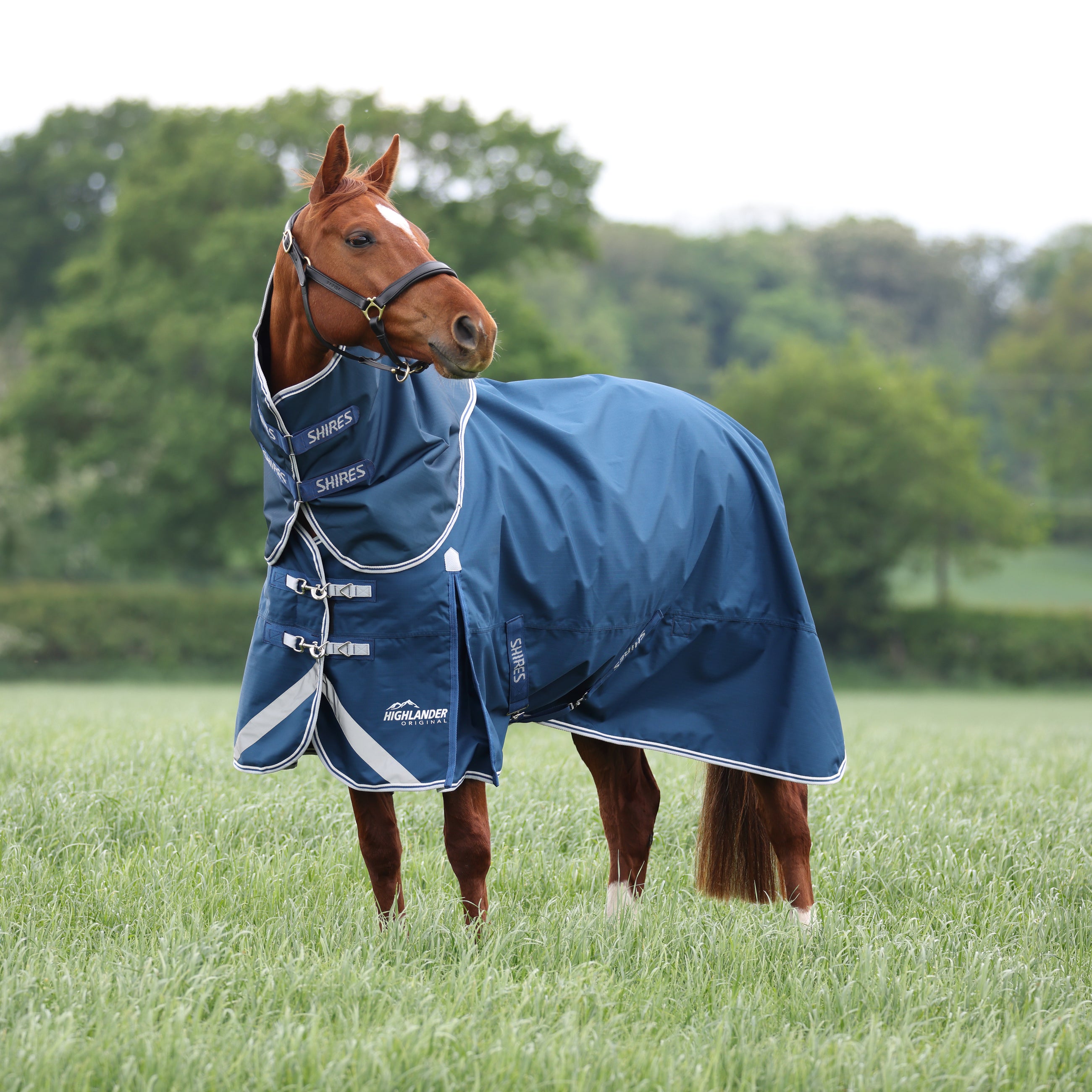 Shires Equestrian - Horse Riding Clothing & Equestrian Supplies