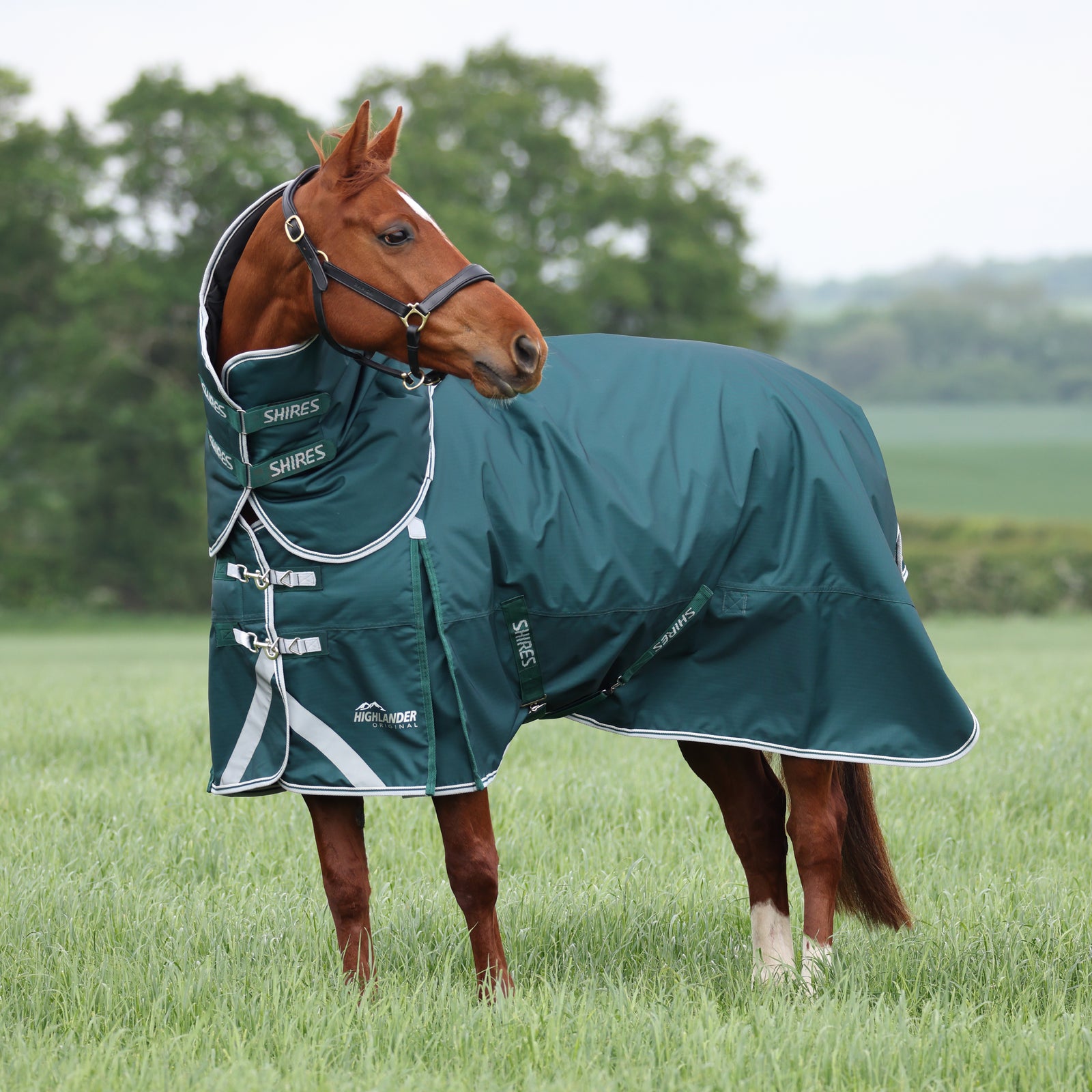 Shires Equestrian - Horse Riding Clothing & Equestrian Supplies