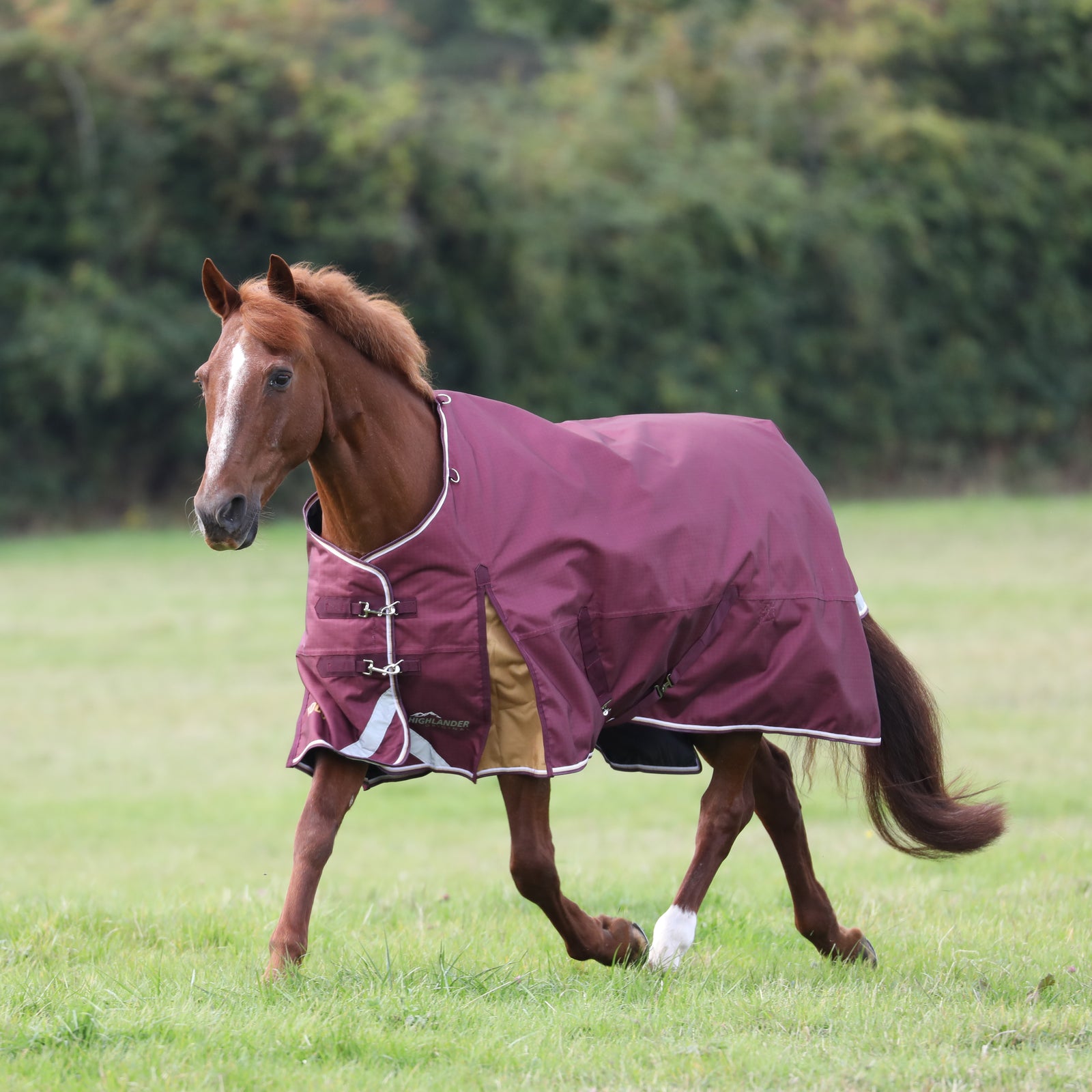 100g Turnout Rugs
